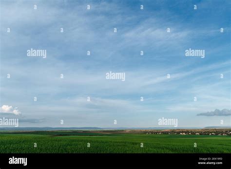 Green Field And Sky With Clouds Grass In Spring Background