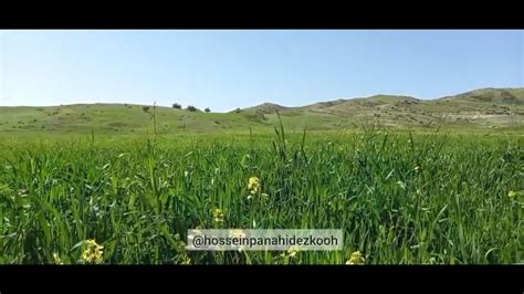 حسین پناهی فیلم و سریال