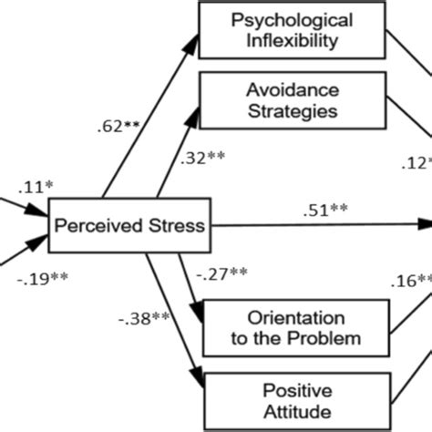 The Path Model Illustrates Direct And Indirect Effects And Causal Paths
