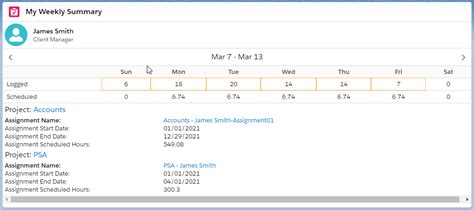 Project Management Workspace Professional Services Automation