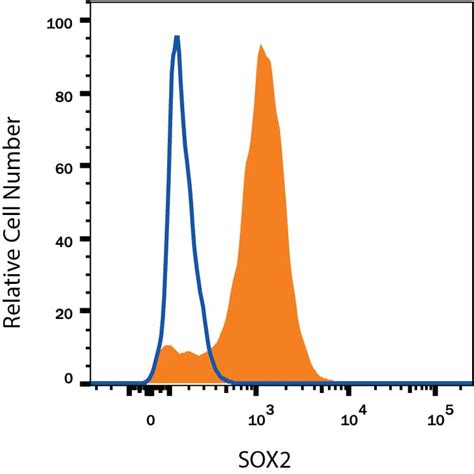 Sox2 Antibody 245610 Unconjugated Mab2018 Novus Biologicals