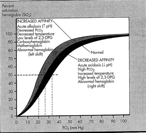 Respiratory Distress Respiratory Failure Flashcards Quizlet