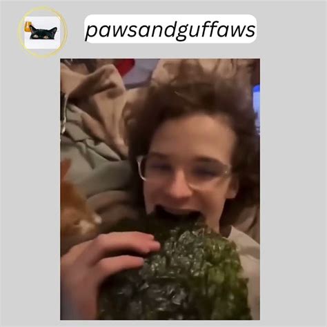 Funny Video Part 5 Youtube