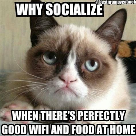 21 Best Grumpy Cat Memes And Funny Quotes About Love And Life Yourtango
