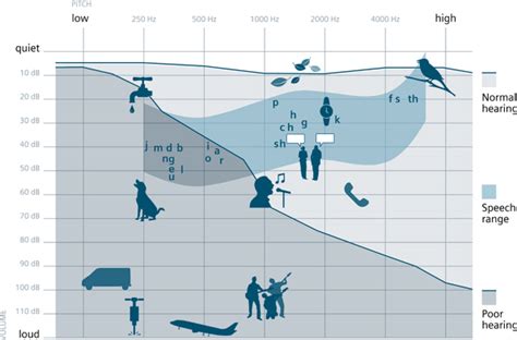 How To Read An Audiogram