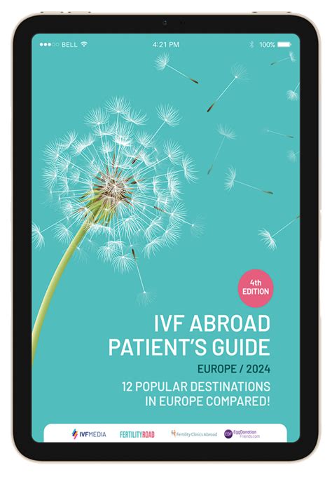 Ivf Abroad Pros And Cons Explained Fertility Clinics Abroad