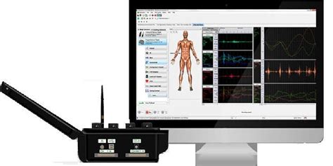Figure 1 From Estimation And Correlation Analysis Of Lower Limb Joint Angles Based On Surface