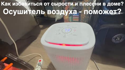 Осушитель воздуха Устраняем сырость и плесень в доме Как избавиться от сырости и плесени в