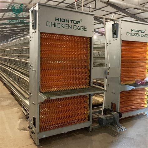 Hightop Advanced Automatic Layer Laying Cage Chicken Farm Poultry
