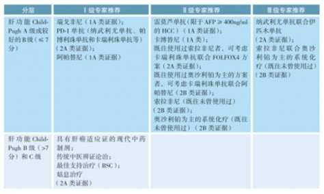 2022年CSCO指南更新丨双免疫疗法在各指南的推荐大盘点 治疗 肿瘤 细胞