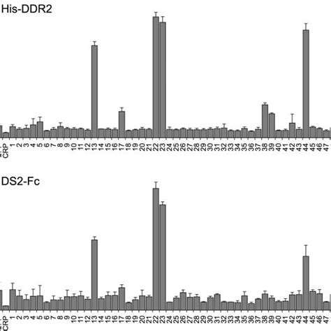 Molecular Structures Of The Ddr2 Ds Domain And Its Binding Site On Download Scientific Diagram
