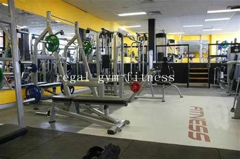 Best Quality Gym Equipments Total Gym/professional Gym Equipment Chin ...