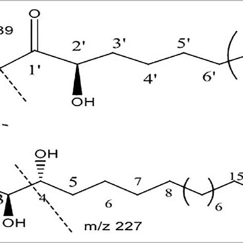 Mass Fragmentation Patterns Of Compound 1 Download Scientific Diagram