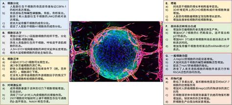 3d培养 多一个维度，多一份可靠