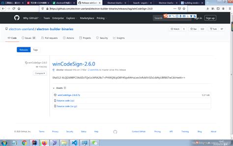 Electron Vue项目 实现注册登录功能的桌面开发程序 最适合新人学习的详细教程electron 登录 Csdn博客