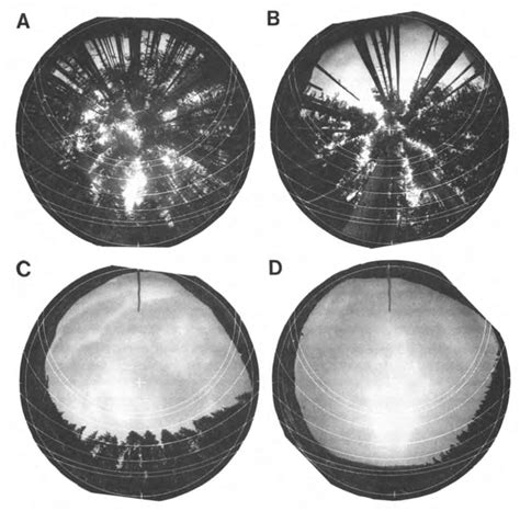 hemispherical photographs taken at the four plots along the sampling download scientific