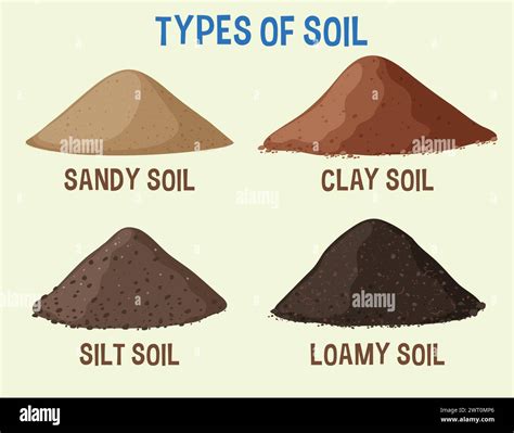 Illustration Depicting Four Varieties Of Soil Types Stock Vector Image Art Alamy