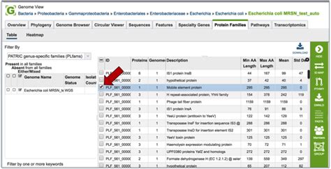 Exploring A Private Genome BV BRC