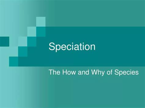 PPT Speciation PowerPoint Presentation Free Download ID