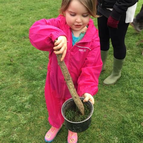 Catcott Primary School Photo Gallery