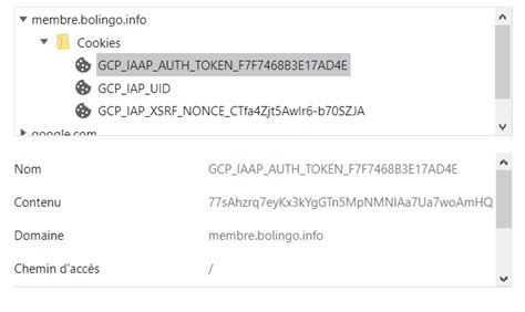 Python How Get Jwt Token From Iap In Flask Stack Overflow
