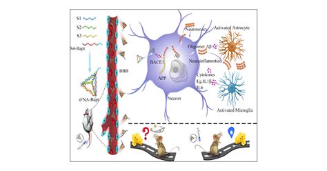 Bace1 Aptamer Modified Tetrahedral Framework Nucleic Acid To Treat Alzheimers Disease In An App