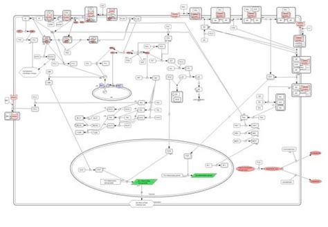 Recombinant Murine Ifn Sigma Aldrich