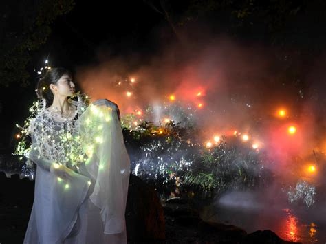 町田芹ヶ谷公園で光アートプロジェクト 郊外型都市公園テーマに 相模原町田経済新聞
