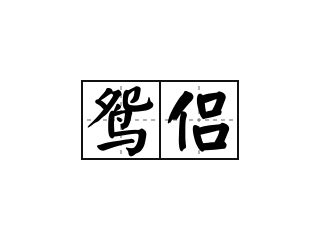 鸳侣 鸳侣怎么念 鸳侣的解释 鸳侣造句