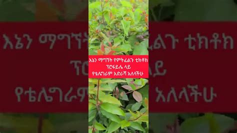 ስንፈተ ወሲብ ላለባችሁ እረኛዬ ኢትዮጵያ ሰይፉ ሾው አለ Youtube