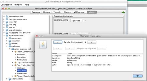 apache camel please explain me what these endpoint options mean