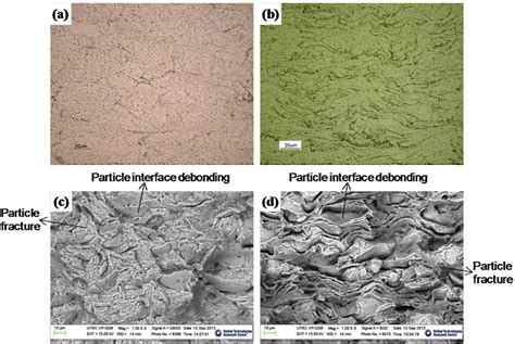 Representative Cross Section And Fracture Surface Morphologies Of Download Scientific Diagram