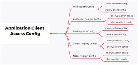 Application Client Access Config Apache ShenYu