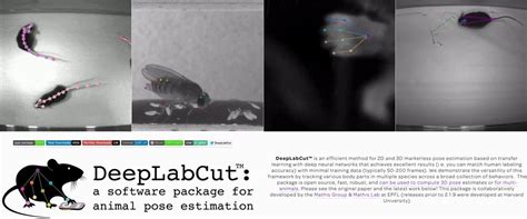 Mackenzie Mathis Phd On Twitter Rt Deeplabcut 🌎 Home Page 📚docs