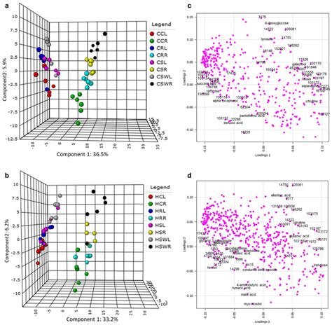 A Pls Da Scores Plot And C Loading Plot Of Leaf L And Root R
