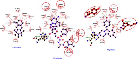 Ligplot Diagrams Of Protein Ligand Interactions For Galaxolide Download Scientific Diagram