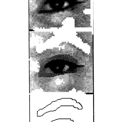 Segmentation Of The Oldman Image Via Optimal Piecewise Smooth