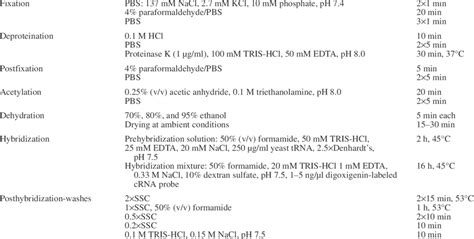 Rna In Situ Hybridization Protocol Using Digoxigenin Labeled Crna Probes Download Table