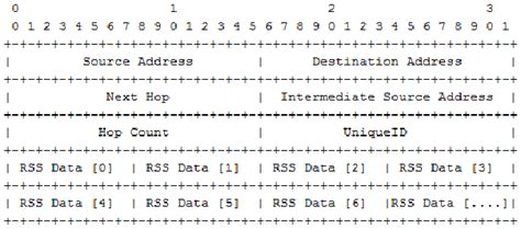 Structure Of A Data Packet Download Scientific Diagram