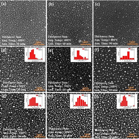 fe sem micrographs of 5 nm thick au film annealed for different time
