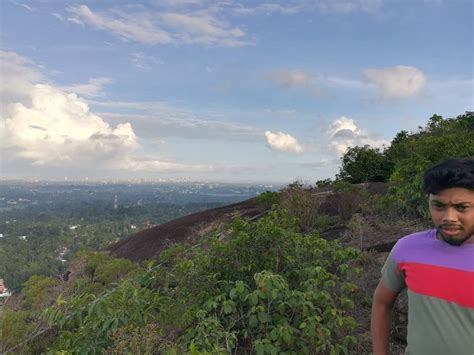 වවමු අපි තුරුලතා රකිමු එය දිවි හෙළ බොදු එකමුතුව කොරතොට