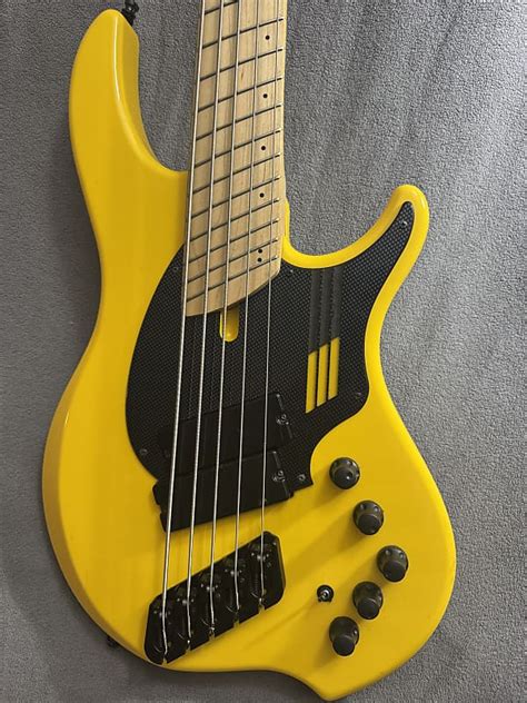 Dingwall Ng2 5 String Reverb