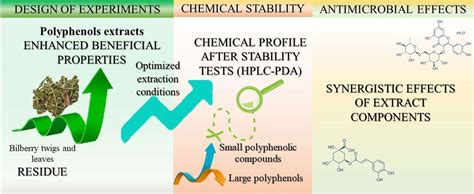 Optimisation Of Polyphenols Extraction From Wild Bilberry Leaves—antimicrobial Properties And