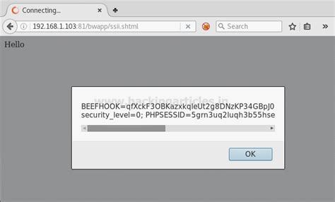 Server Side Injection Exploitation In Bwapp