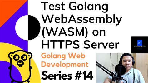Test Golang Webassembly Wasm On Https Server Golang Web Development