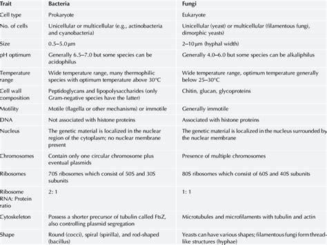 Some Key Differences And Similarities Between Bacteria And Fungi