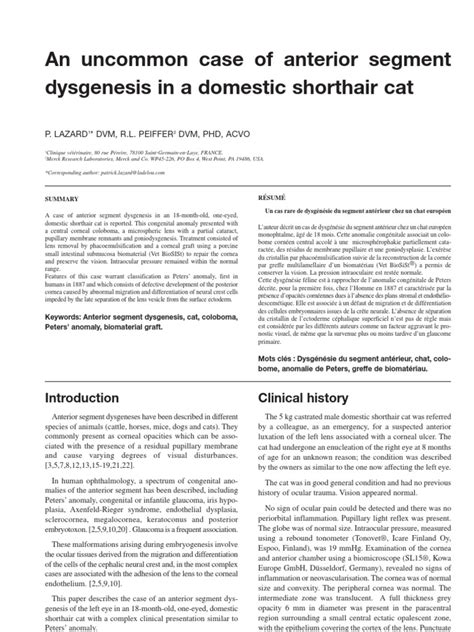 Anterior Segment Dysgenesis Cat Cornée Glaucome