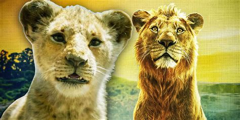 Mufasa The Lion King Soundtrack Guide Every Song When They Play