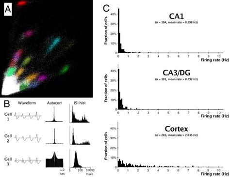 Illustration Of Properties Of Units Recorded From Macaque Hippocampus Download Scientific
