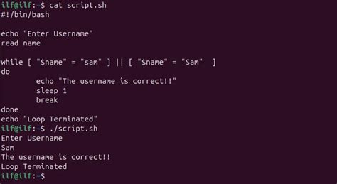 Introduction To Bash While Loop With Examples Its Linux Foss